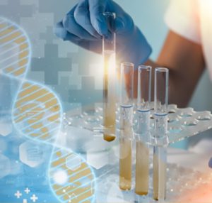 Pharmaceutical Manufacturing in GCC Countries - OpalBioPharma